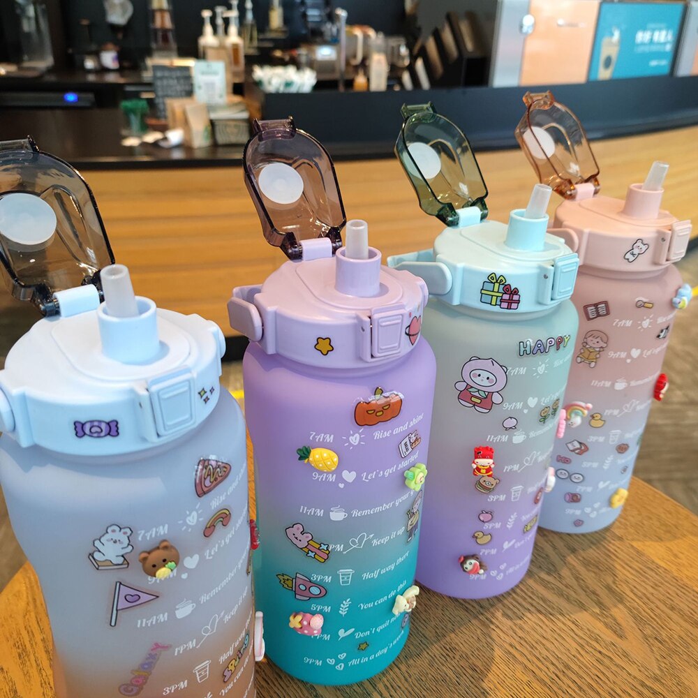 Squeeze 2 litros com adesivos – Brizamax